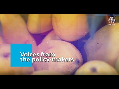 FAO and policy-makers speak up for a safer food in Asia and the Pacific: ten countries