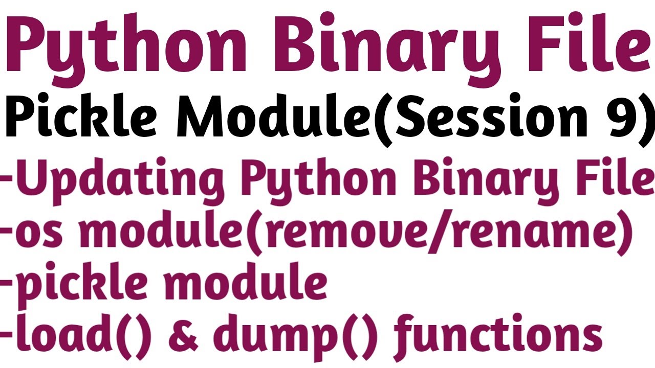 how to update data in Python binary file | data updating in complex objects in Python file handling