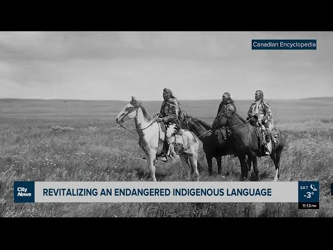Preserving Blackfoot, an endangered language