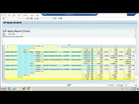 SAP S/4HANA Aging Reports for AP & AR | Quick Step-by-Step! 📊