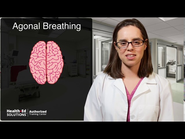 What is agonal breathing? Paul Pelosi snoring after attack claim leaves ...