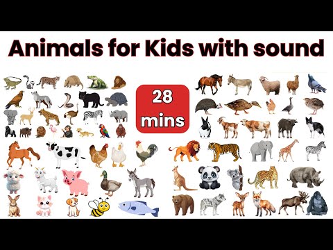 All Animal Name with Pictures | Animals sound | English Vocabulary | Kids Vocabulary #kidslearning