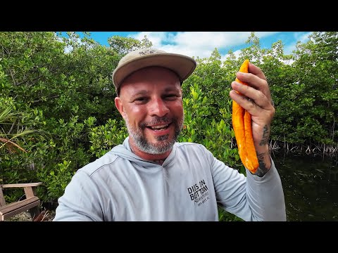 Mahi Mahi Roe | How to Make Bottarga