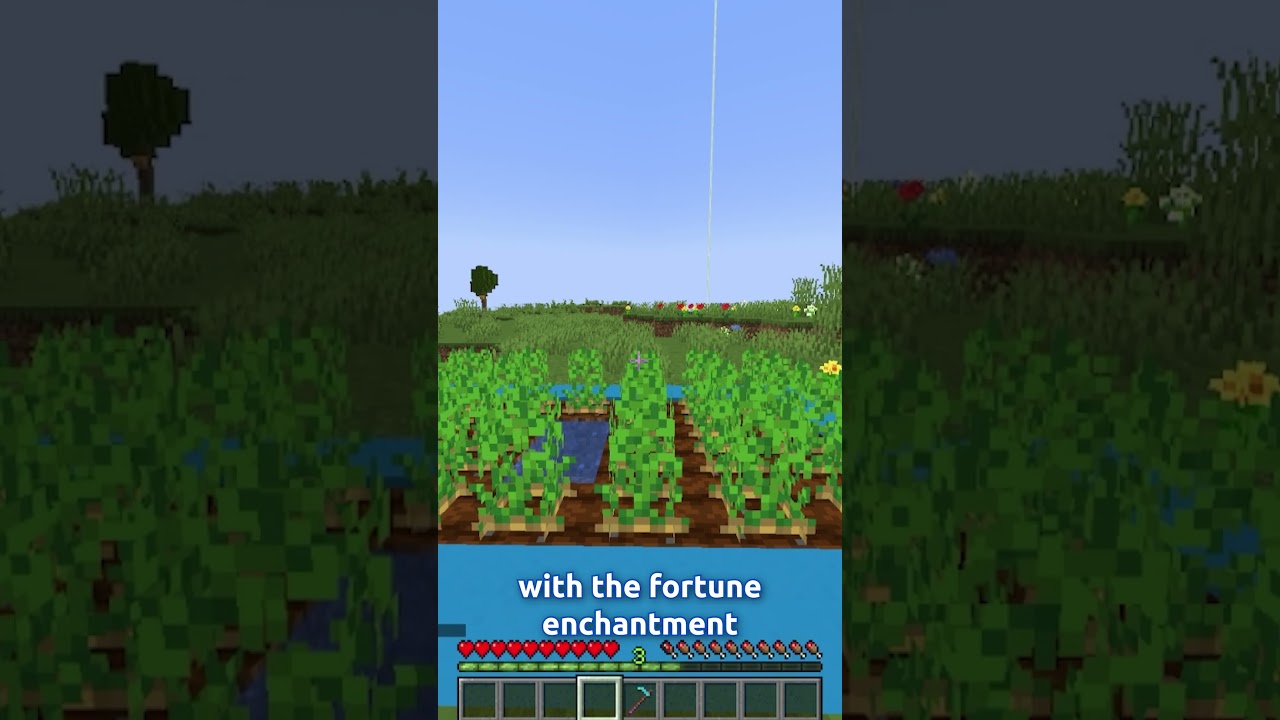 You’re enchanting wrong…