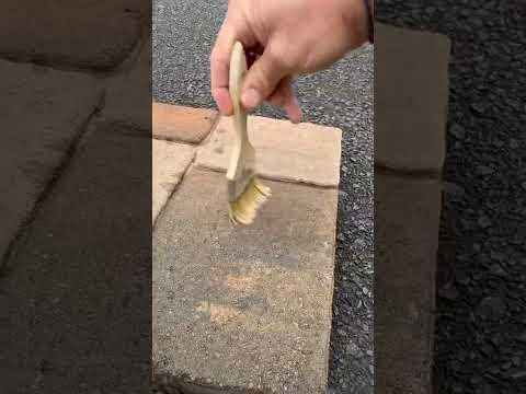 This Concrete Sealer Will Change Your Outdoors Forever! Watch BEEST Concrete Sealant Work Wonders!