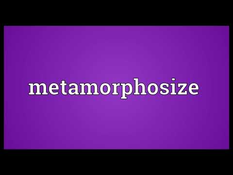 Metamorphosize Meaning