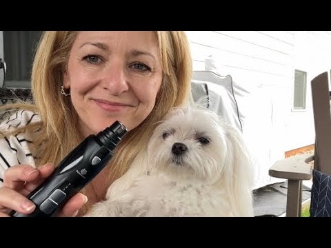 Petsaunter Nail Trimmer Review – LED Light & 2 Speeds! #ad