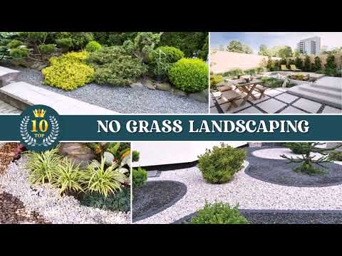 Small Front Yard Landscaping Ideas No Grass