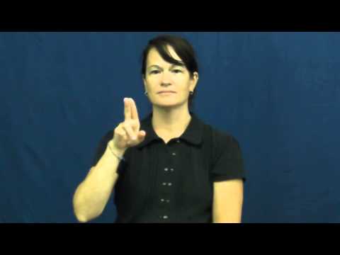 American Sign Language ASL Video Dictionary - linguistic