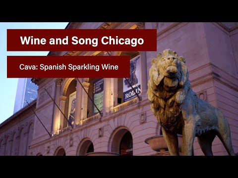 Cava - Spanish Sparkling Wine