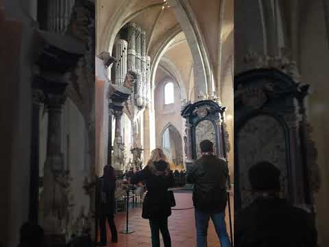 The High Cathedral of St. Peter at Trier