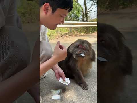 Xingxing: Are you crazy? You think this thing is edible?