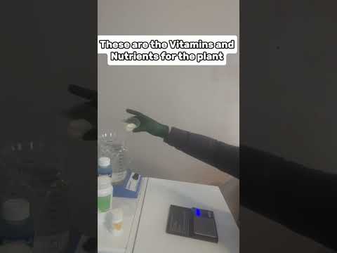How to make Tissue Culture media #tissueculture #plants #botanicalgarden