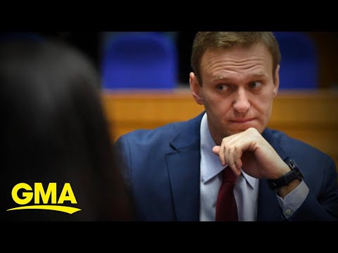 Russian opposition leader Alexei Navalny dies in prison