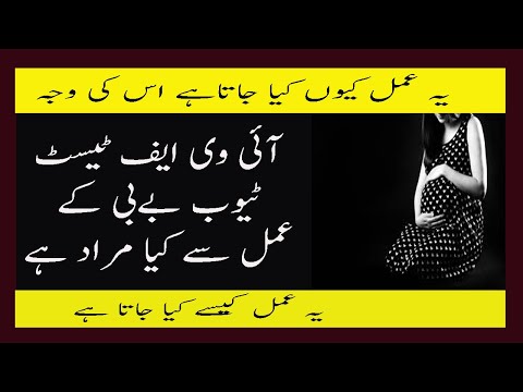 What Is In Vitro Fertilization Process In Urdu Test Tube Baby Ke Amal Se Kya Murad Kaise Kyn Hota Ha