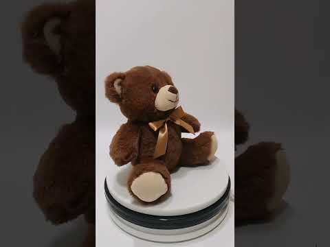 Recording and Repeating Cute Teddy Bear