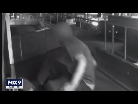 Video: Boy rides on MSP Airport baggage conveyor belt | FOX 9 KMSP