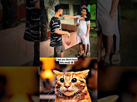 DAY-754 TECHNOLOGIAA 😆 #cat #meme #dance #trending