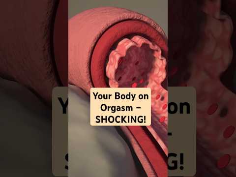 What happens during orgasm