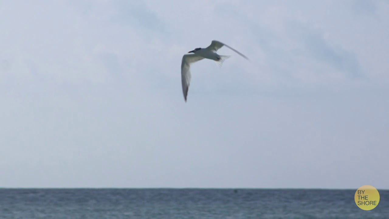 Module 3 Slideshow Exercise