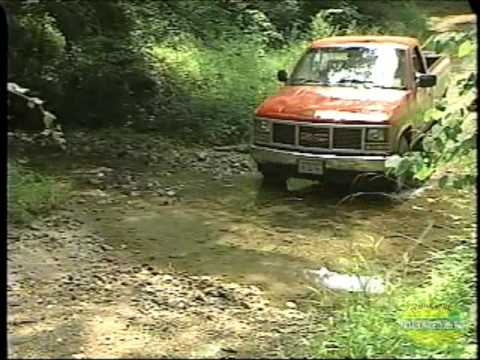 Introduction to Forestry Best Management Practices