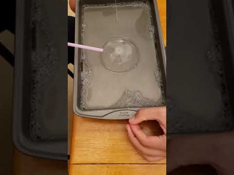 Cell Concept 6- Many Bacteria Cells Reproduce Through Binary Fission