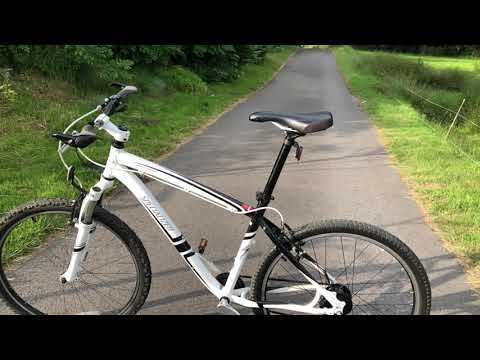 Customised MTB bike Alfine Hub 16 speed Specialized Schlumph speed drive