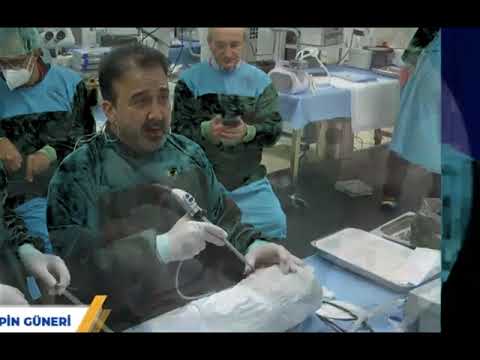 Middle Ear Endoscopic Dissection (English translation)