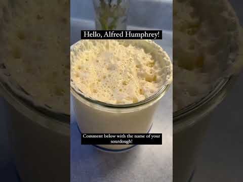 Does your sourdough starter have a name?