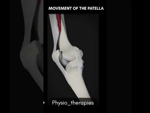 Movement of the patella and function of tibial collateral ligament plz subscribe