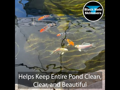 Pond Surface Skimmer | Pond Aerator | Koi Pond