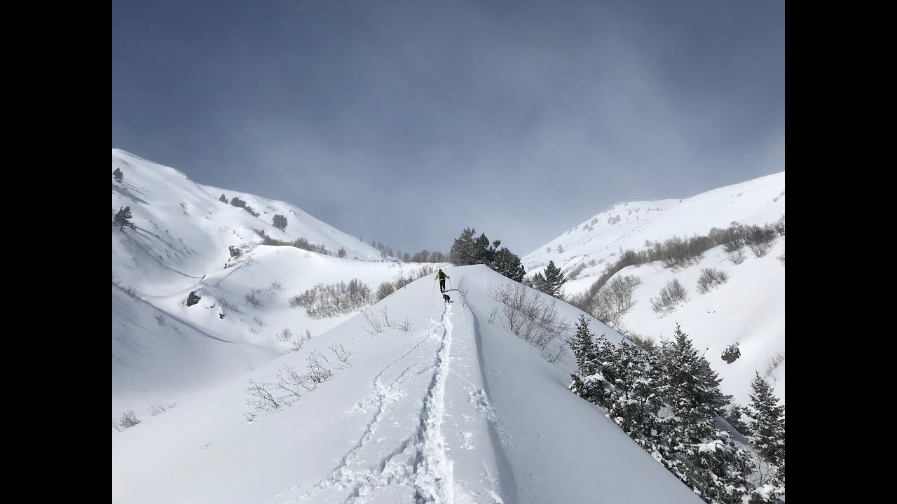 Wellsville MountaIn Wilderness