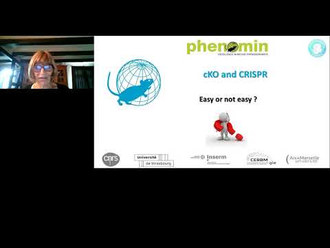 CRISPR/Cas9 genome editing in mouse and rat