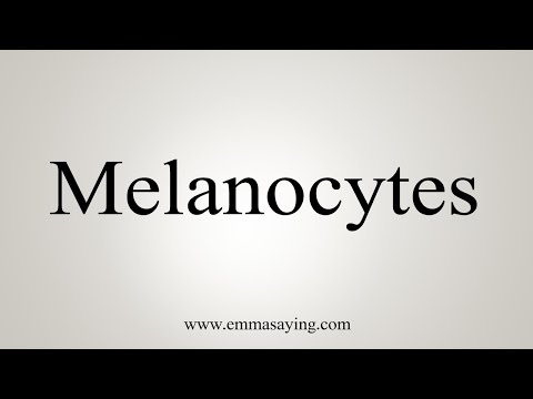 How To Say Melanocytes