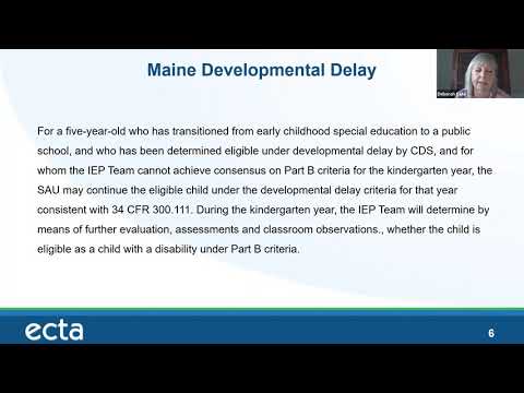 CDS ECTA Training #2 Developmental Delay
