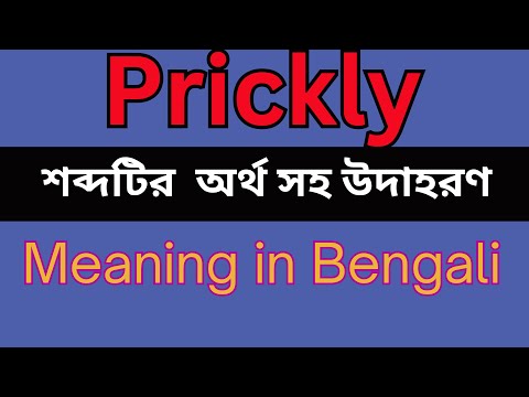 Prickly Meaning In Bengali /Prickly mane ki