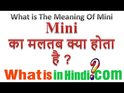 What is the meaning of Mini in Hindi | Mini ka matlab kya hota hai
