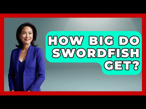 How Big Do Swordfish Get? - The Marine Life Explorer