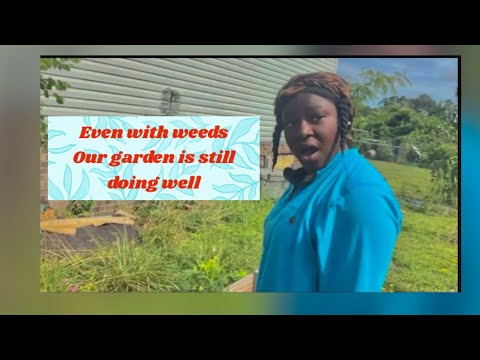 Educate 2 Grow Ep3 GARDEN IS DOING AMAZING!