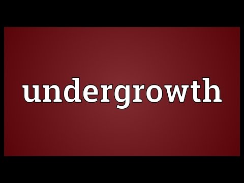 Undergrowth Meaning