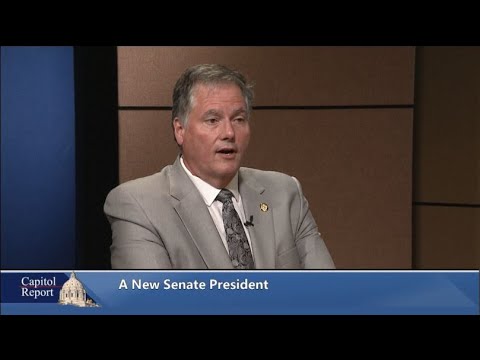 A New Senate President