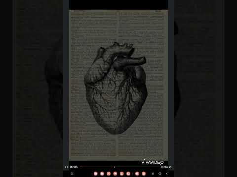 wallpapers grunge