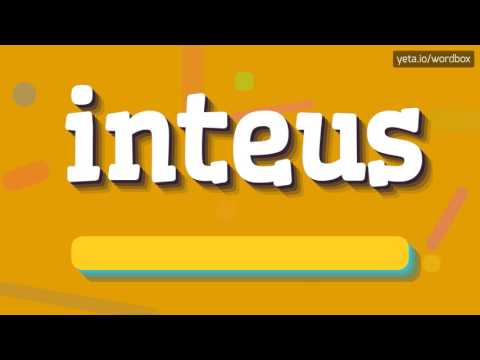INTEUS - HOW TO PRONOUNCE IT!?