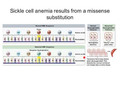 Gene expression- mutations