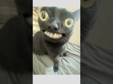 funny face