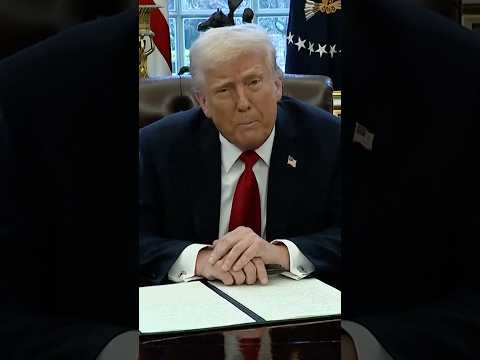 Winners and Losers in Trump's Auto Tariffs