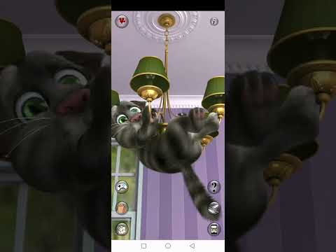 Talking Tom Cat 2 Free Old version 4.9 (2015)