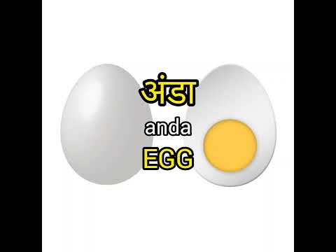 EGG MEANING IN HINDI WITH PICTURE.LEARN LEARN LEARN. #short #hindi #meaning #anda #egg #Transalation