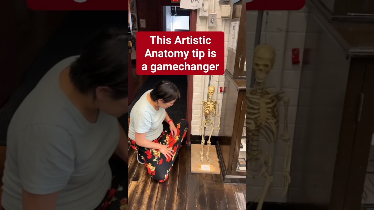 The Most Basic Artistic Anatomy Tip Artists Forget About