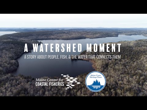 A Watershed Moment | FULL FILM